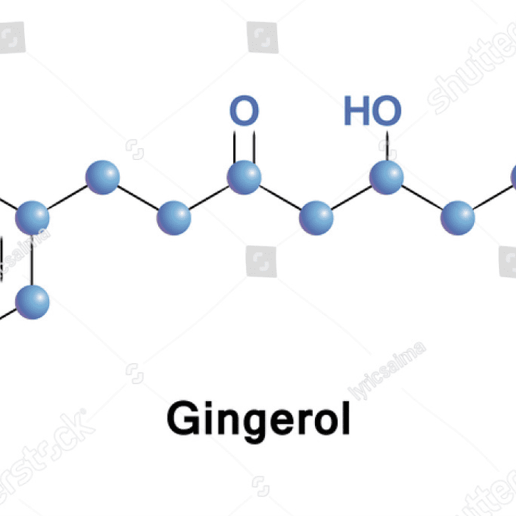 Gingerol - Antiagingnews.net